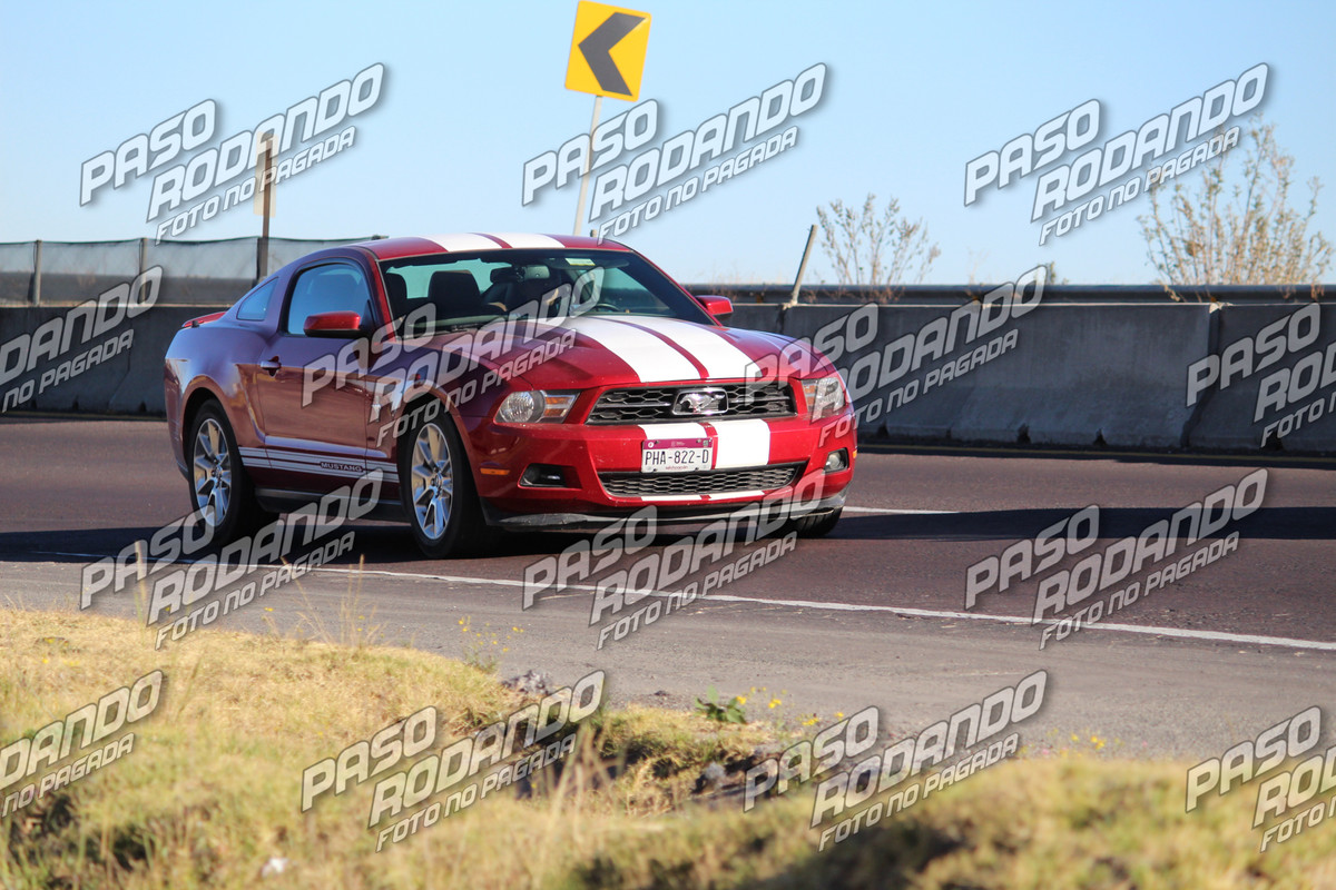 IMG 2998 wm 1831145 2 watermarked — Postimages