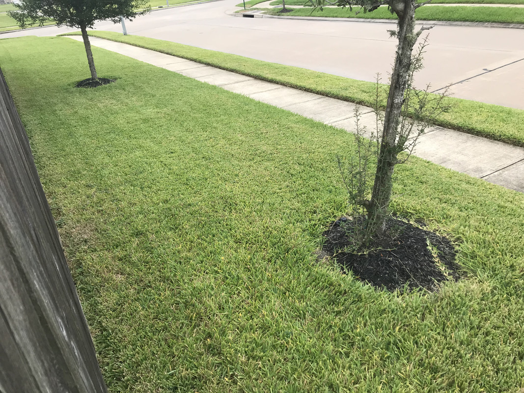 IMG 4814 — Postimages