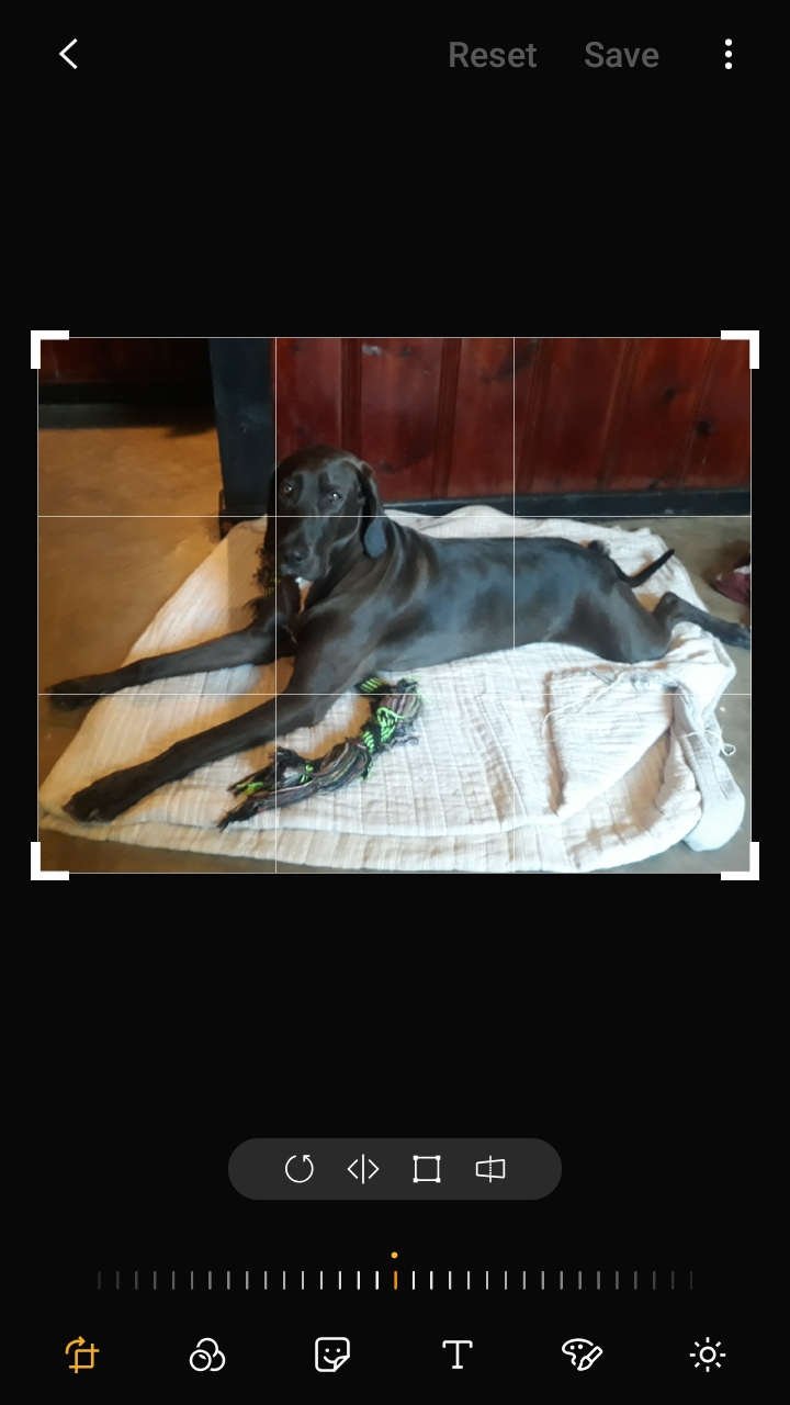 Screenshot 20220927 123347 Photo Editor — Postimages