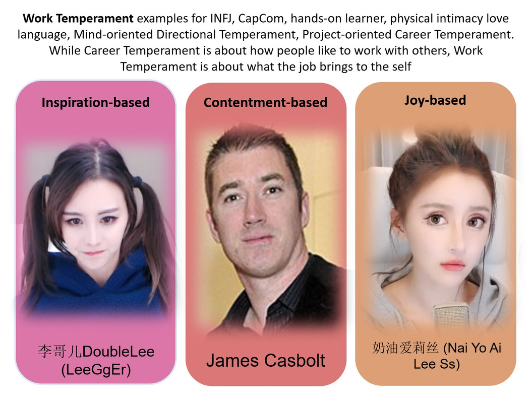 MBTI+: Work Temperament | Personality Cafe