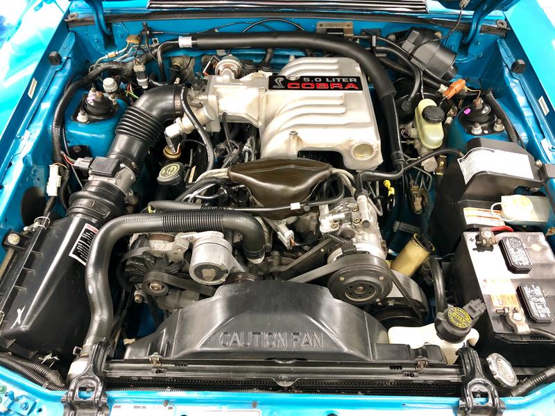 Motor Monday! Let’s see whatcha got! | Ford Shelby GT500 Forum