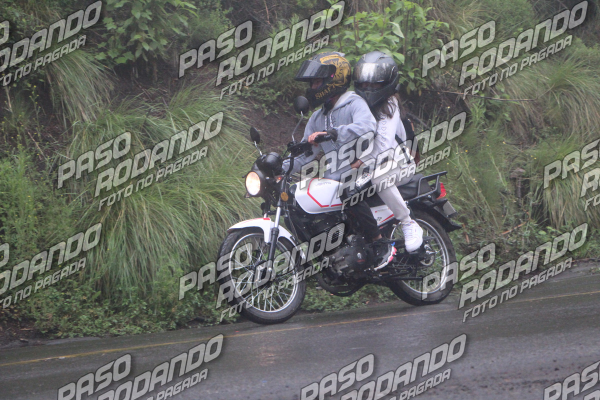 IMG 2334 wm 294419 2000000002 watermarked — Postimages