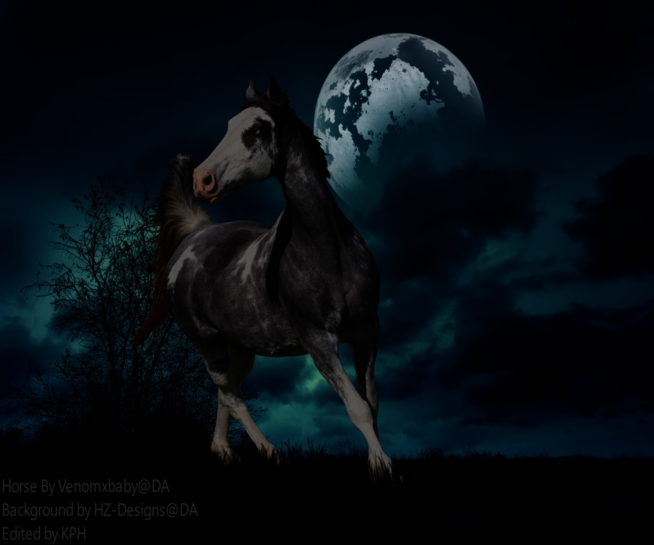 Gray Sabino Horse Moon Background — Postimages