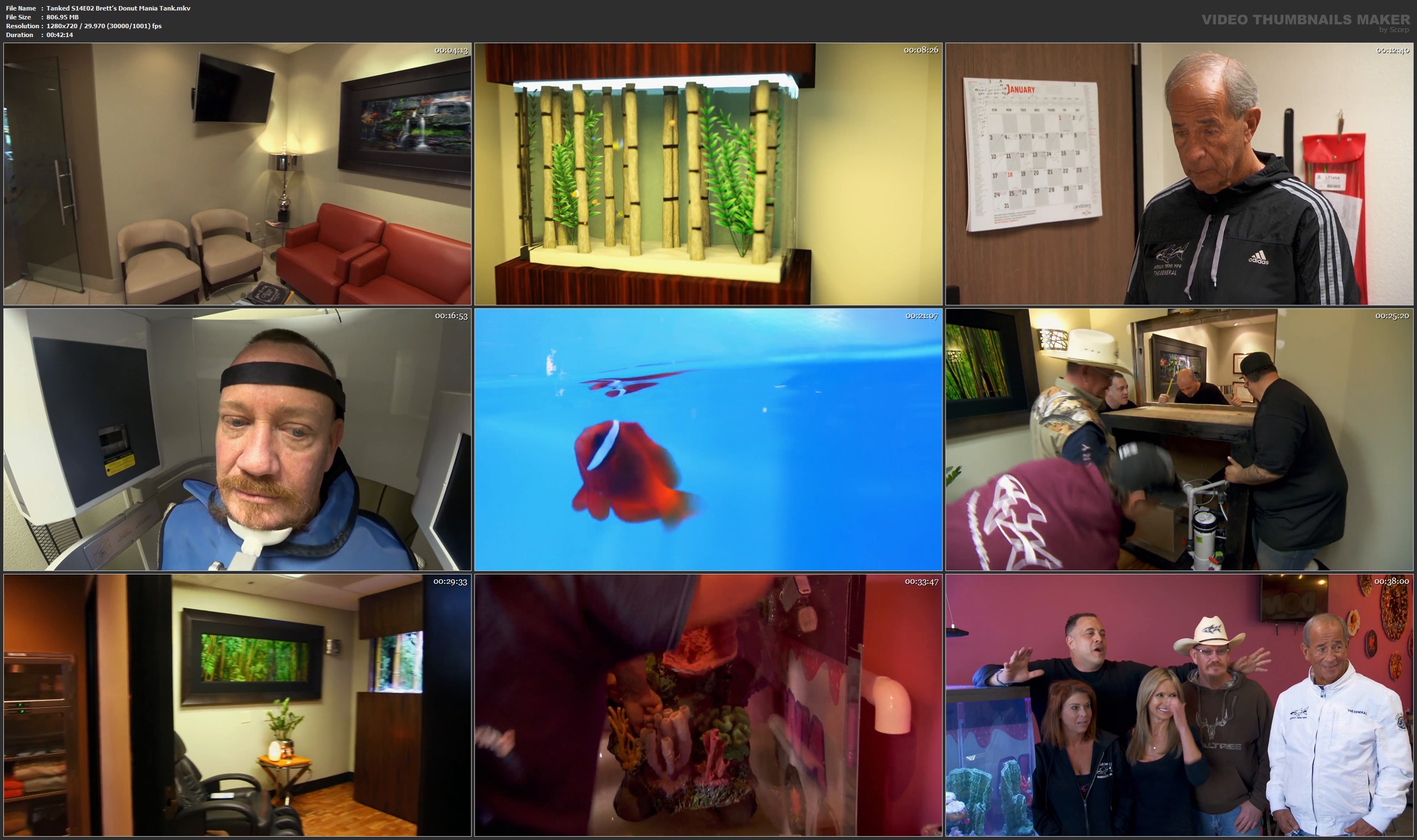 Tanked S14 E02 Brett’s Donut Mania Tank mkv — Postimages