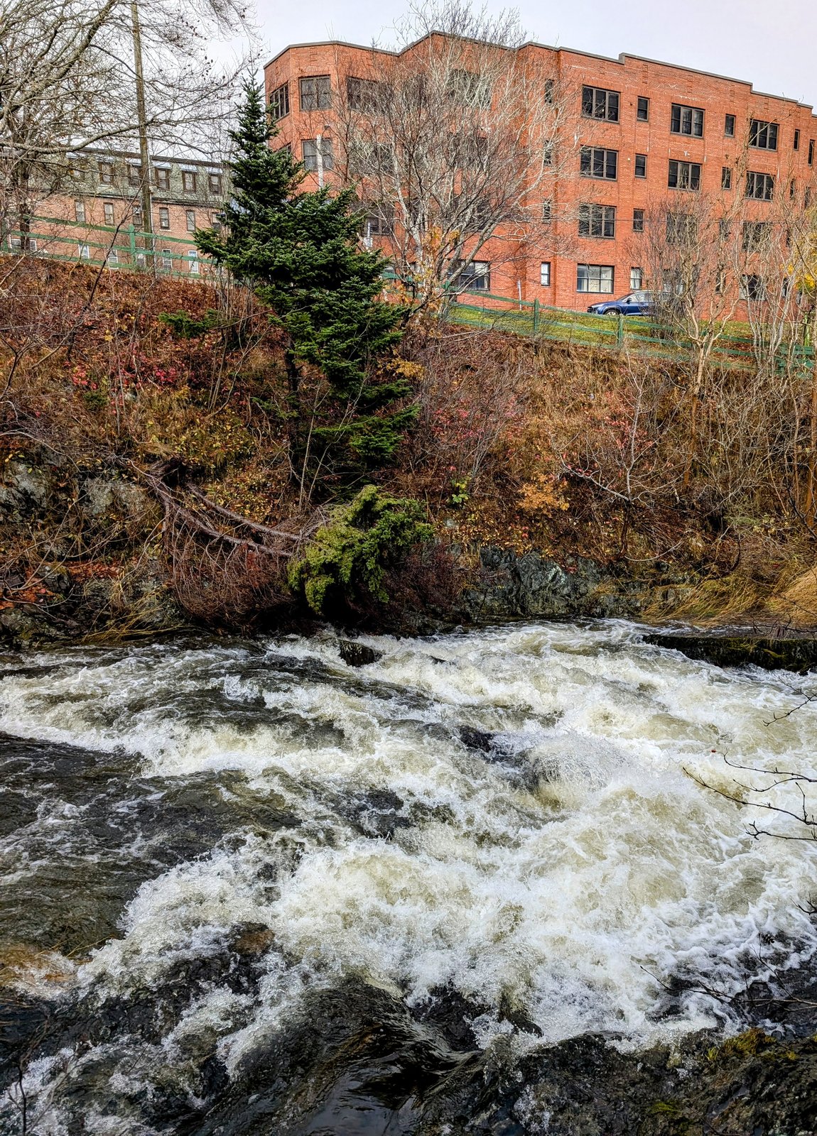 PXL 20241116 140025300 MP 2 — Postimages