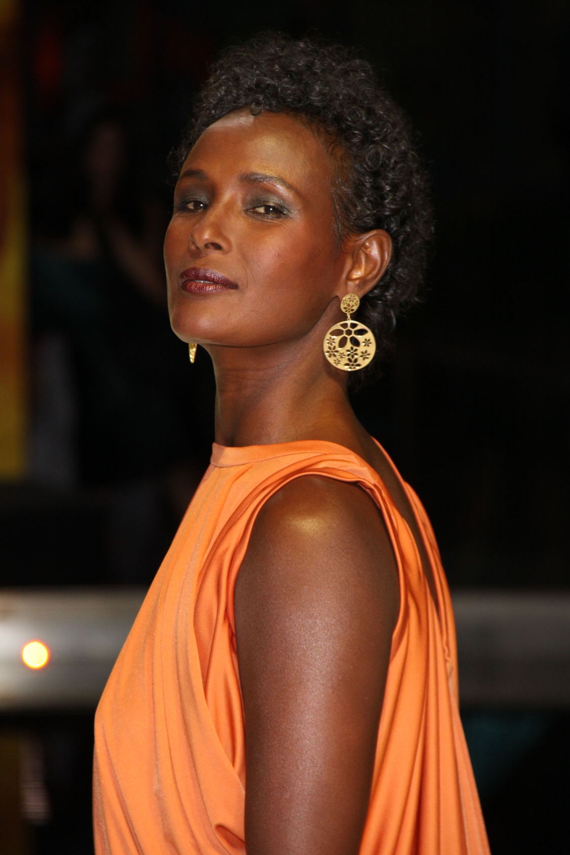 Topmodel Waris Dirie Pic Appreciation Thread | Page 5 | Lipstick Alley