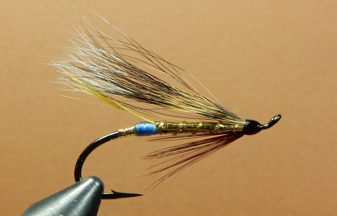 Campbell's Fancy - Fly Tying - Maine Fly Fish