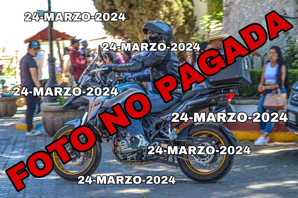 CV 1272 — Postimages