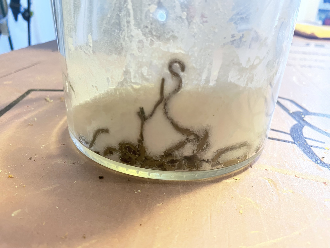 85342154 74 FF 4 A1 A AFBD C7 E1 EFE20 F90 — Postimages