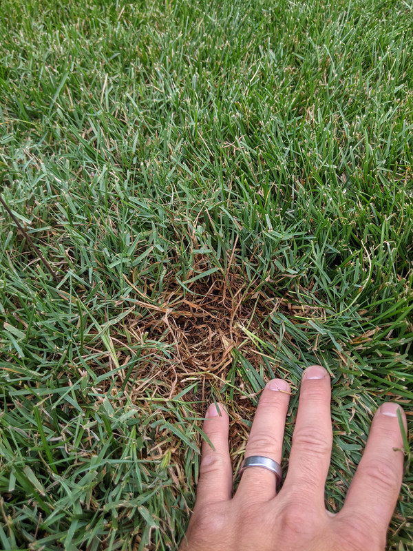 figa 003 ground level — Postimages