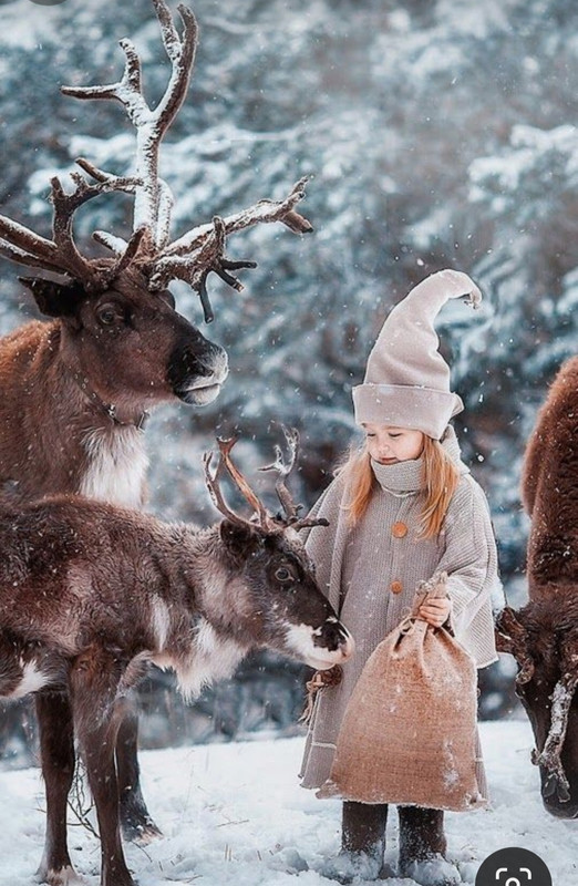 Screenshot 20231126 194803 Pinterest — Postimages