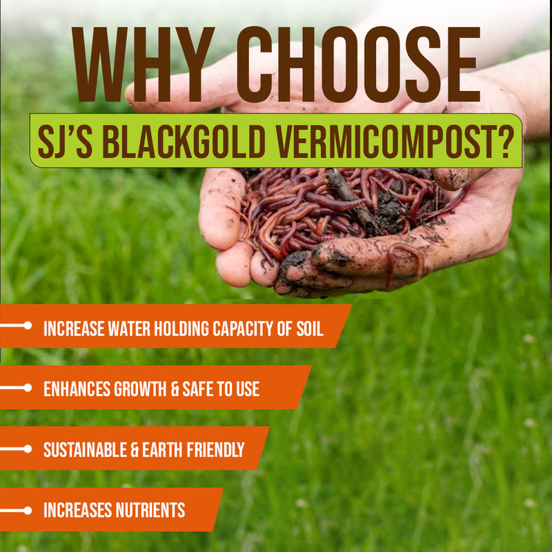 Ver20kg2 — Postimages