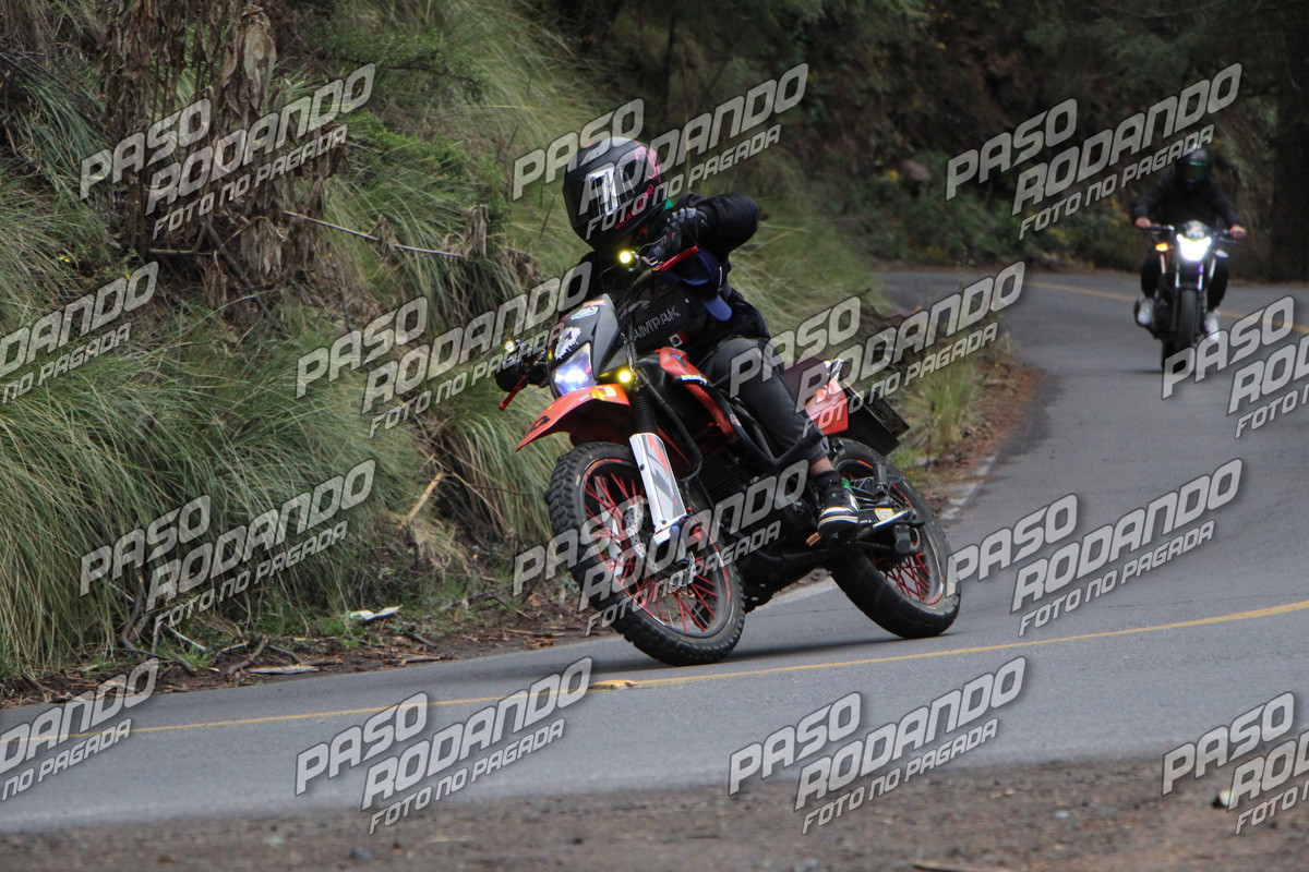 IMG 0481 wm 3654096 7 watermarked — Postimages