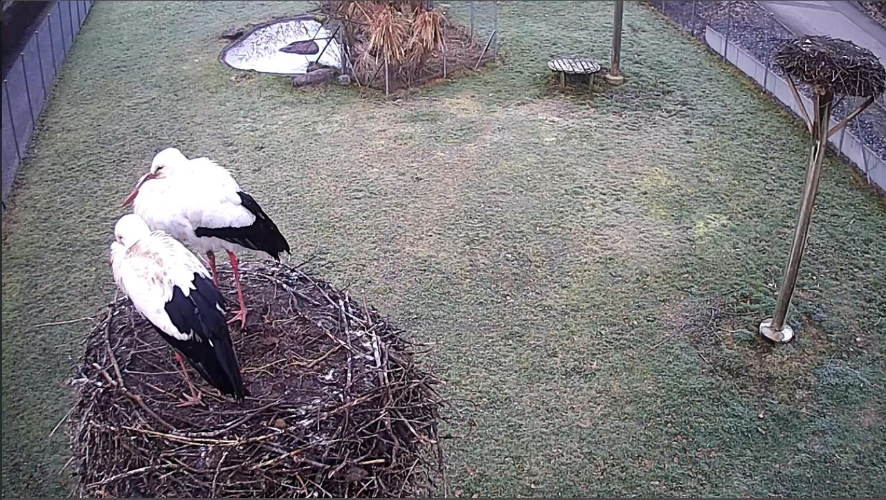 MWSnap485 — Postimages