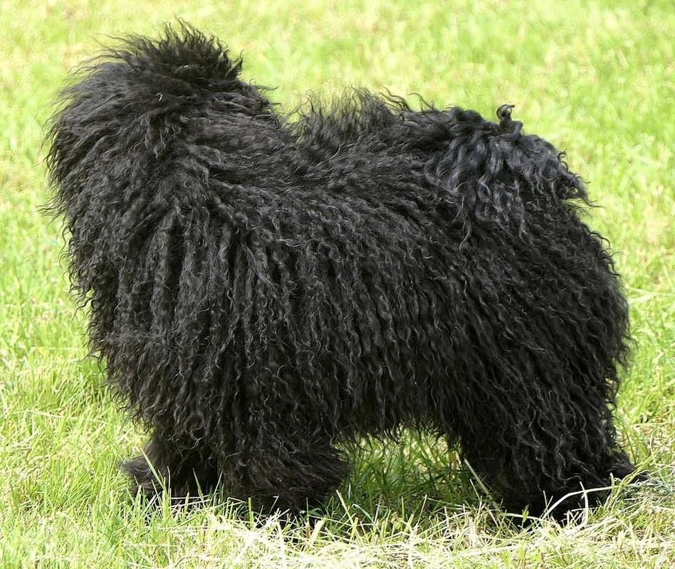 IMG 5367 — Postimages