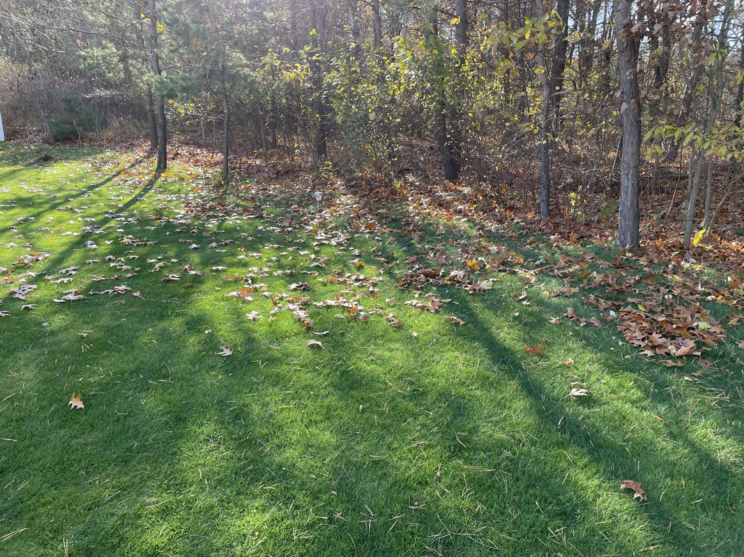 IMG 9172 — Postimages