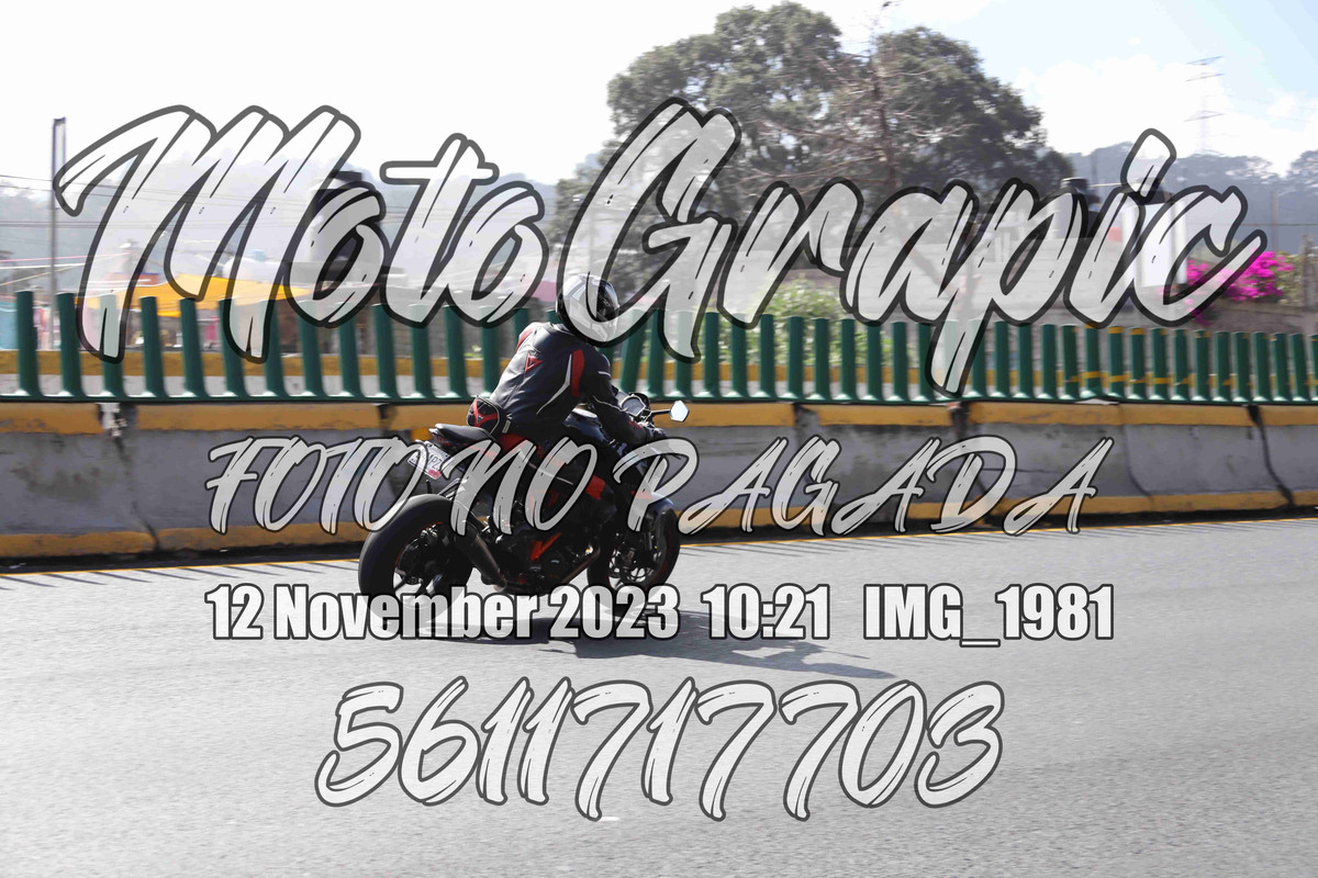 motgr IMG 1981 — Postimages