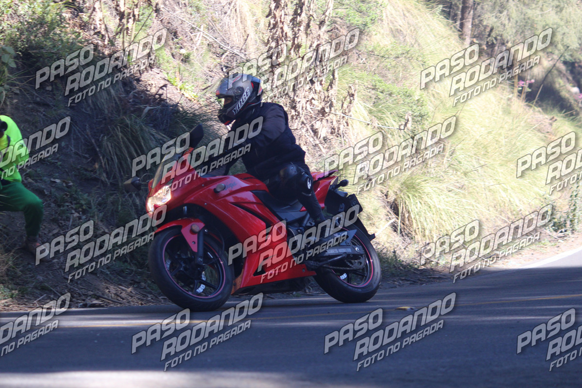 IMG 5991 wm 9432629 3 watermarked — Postimages