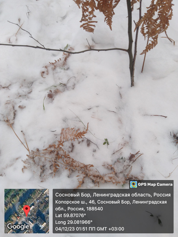 20231204 15154 ППBy GPSMap Camera — Postimages