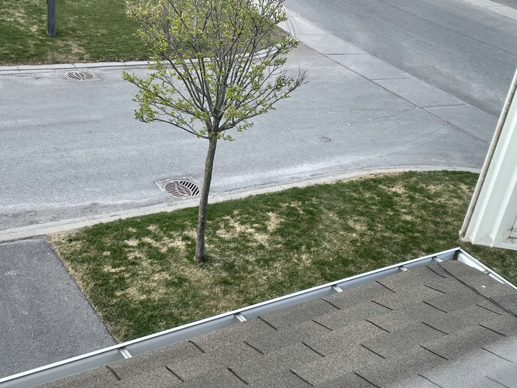 IMG 0826 — Postimages