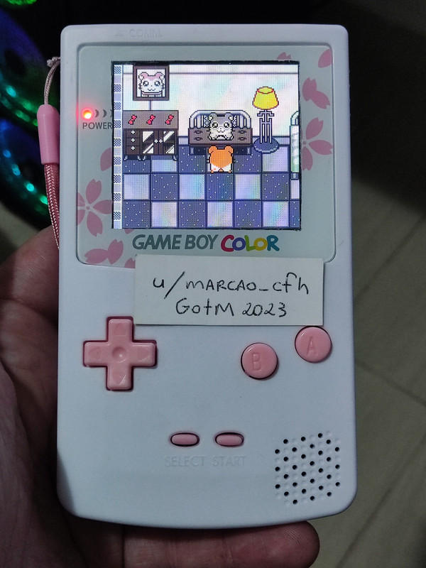 [Game of the Month competition] Hamtaro: Ham-Hams Unite! : r/Gameboy