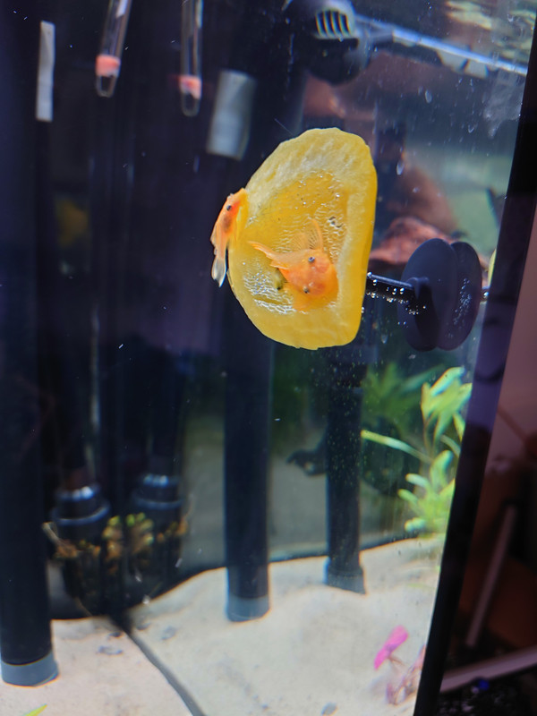 DSC 0647 — Postimages