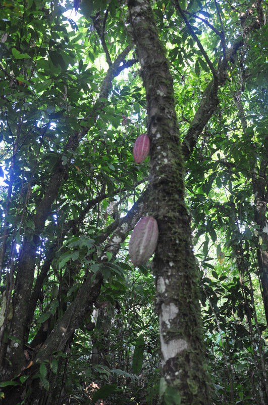 DSC 0129 — Postimages