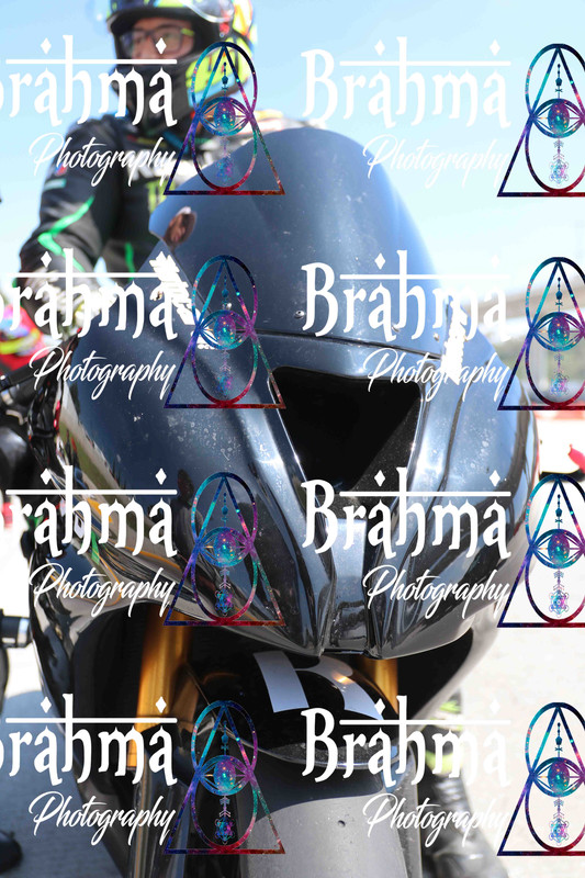 IMG 2439 — Postimages