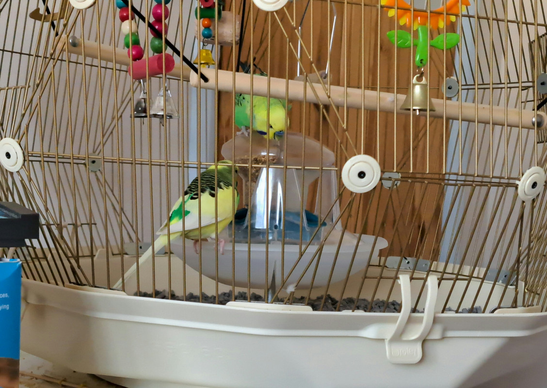 20230608 093259 — Postimages