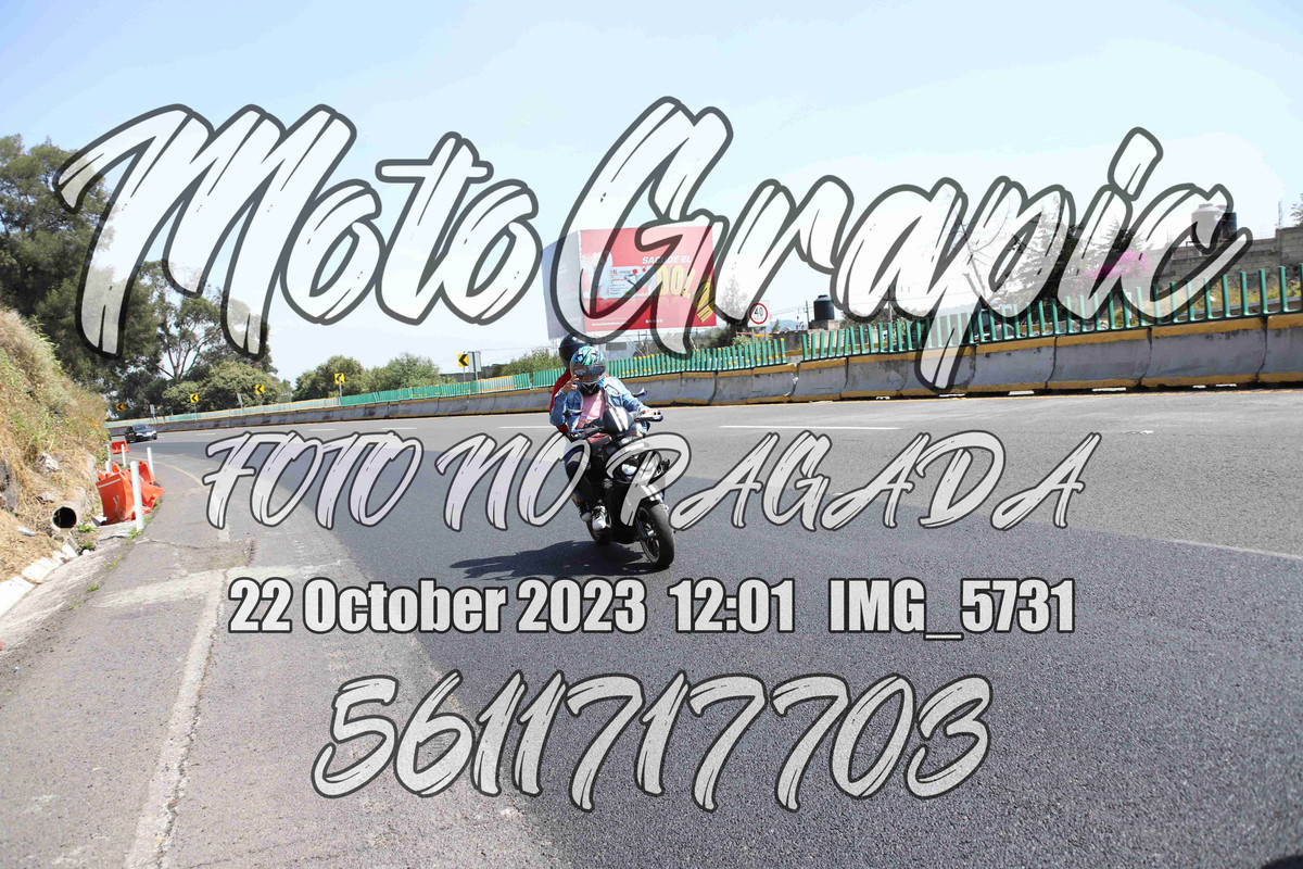 motgr IMG 5731 — Postimages