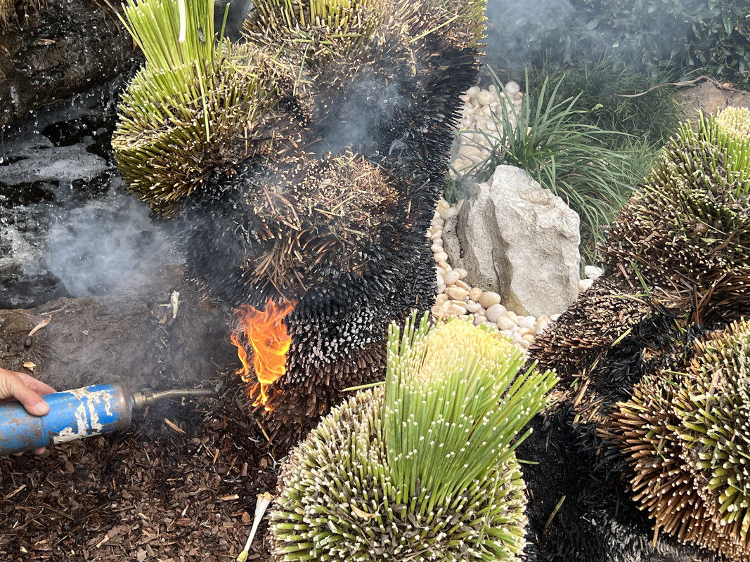 IMG 1022 — Postimages