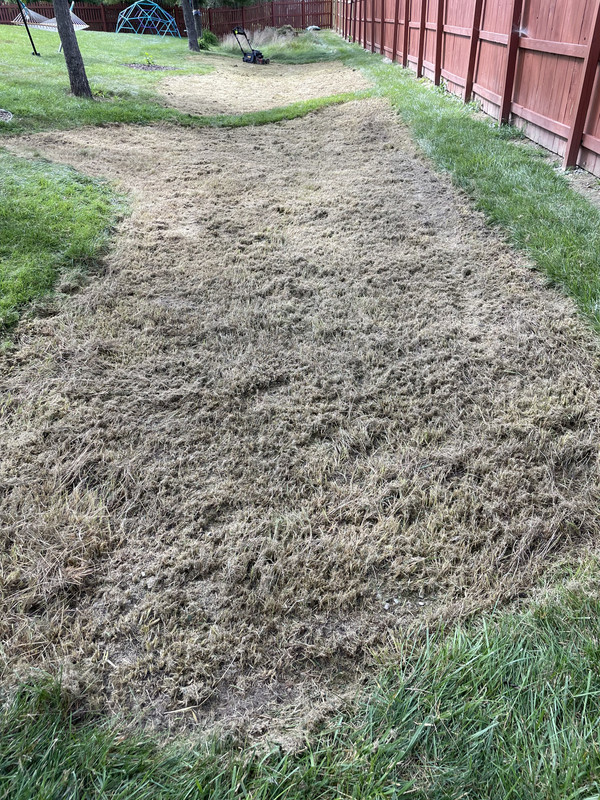 IMG 1140 — Postimages