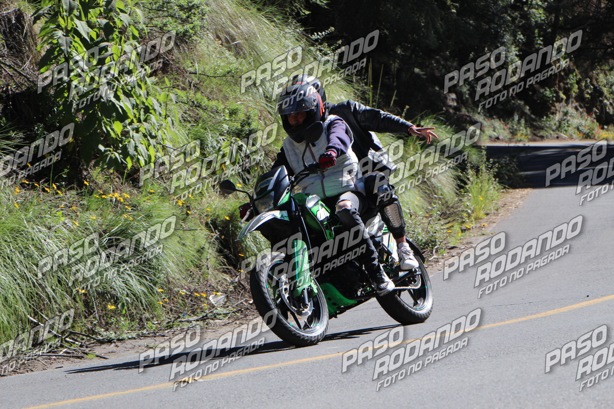 My Gallery — Postimages