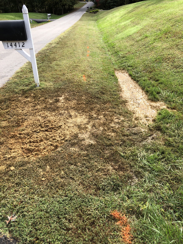 IMG 9685 — Postimages