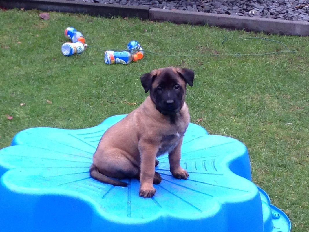 6 F4 DB543 1528 43 BD 9502 5 E36 E9 CFBC6 C — Postimages