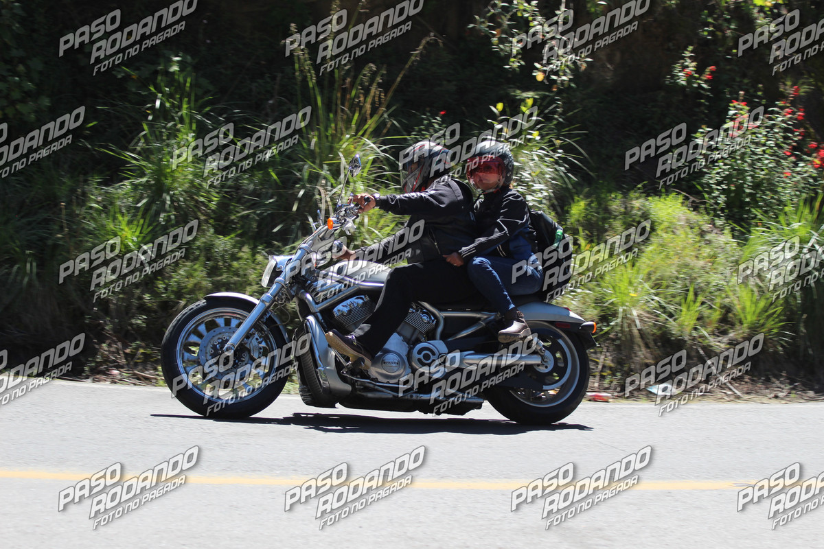 IMG 5499 wm 1224648 watermarked — Postimages