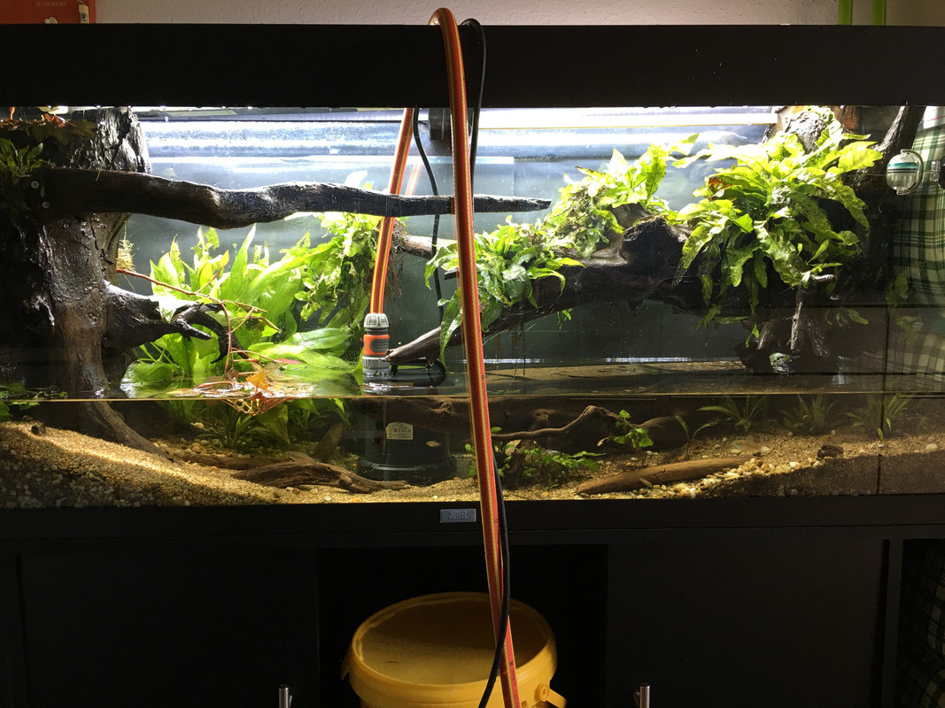 IMG 9002 — Postimages