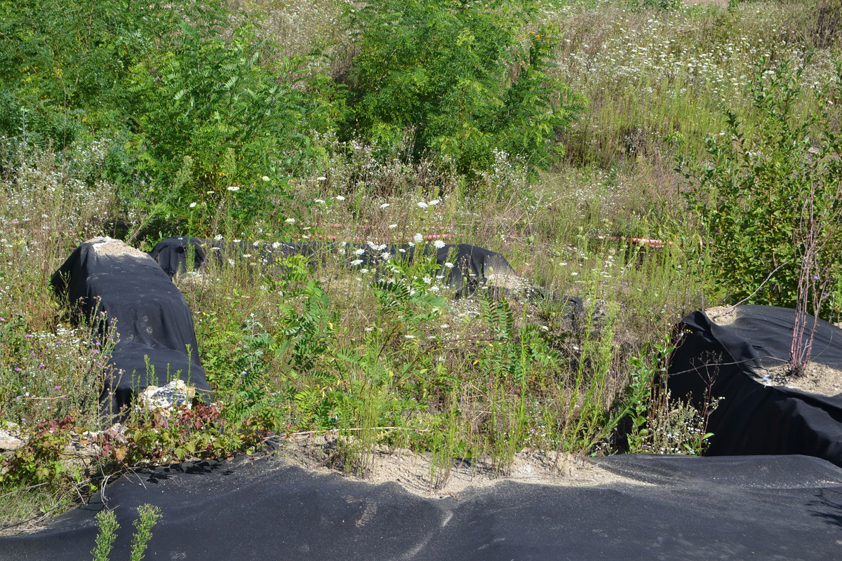 DSC 1421 — Postimages