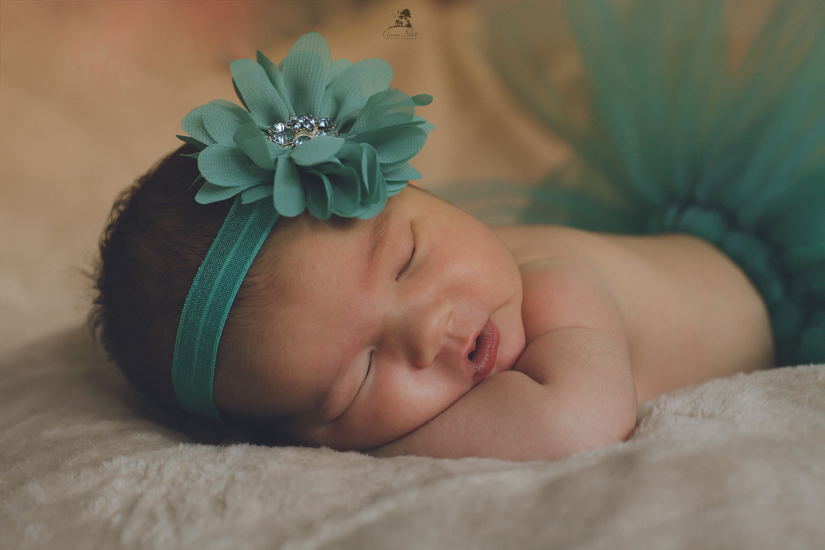 IMG 1860 — Postimages