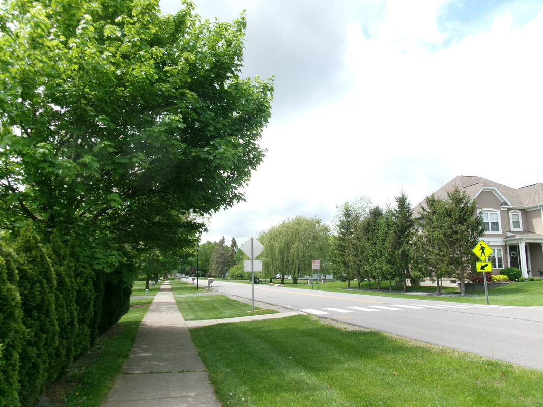 RunningAHEAD - Topic: Spring Flowers-May 2025