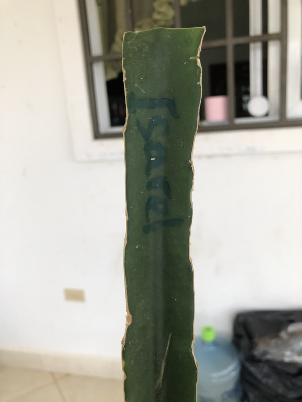 IMG 2174 — Postimages