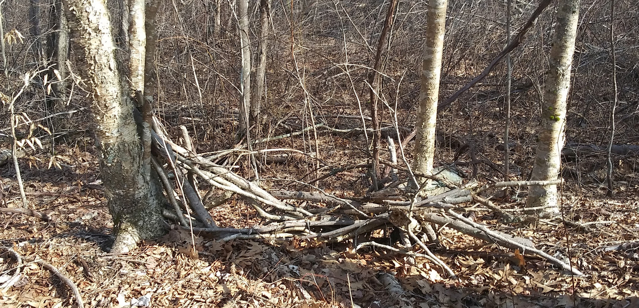 Hall St Trail Stick Formation1 C — Postimages