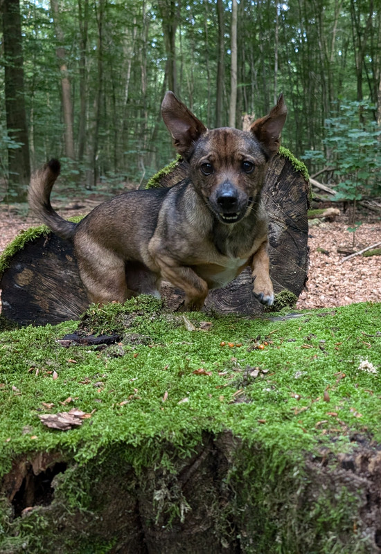 PXL 20240806 160420210 MP — Postimages