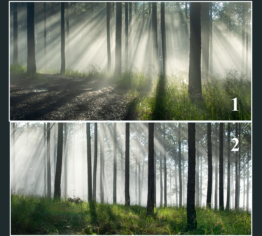 Untitled 12 — Postimages