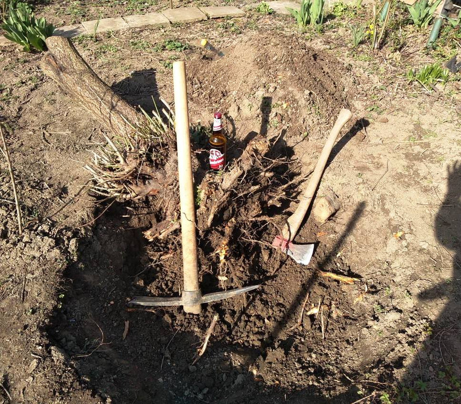 image000000 47 — Postimages