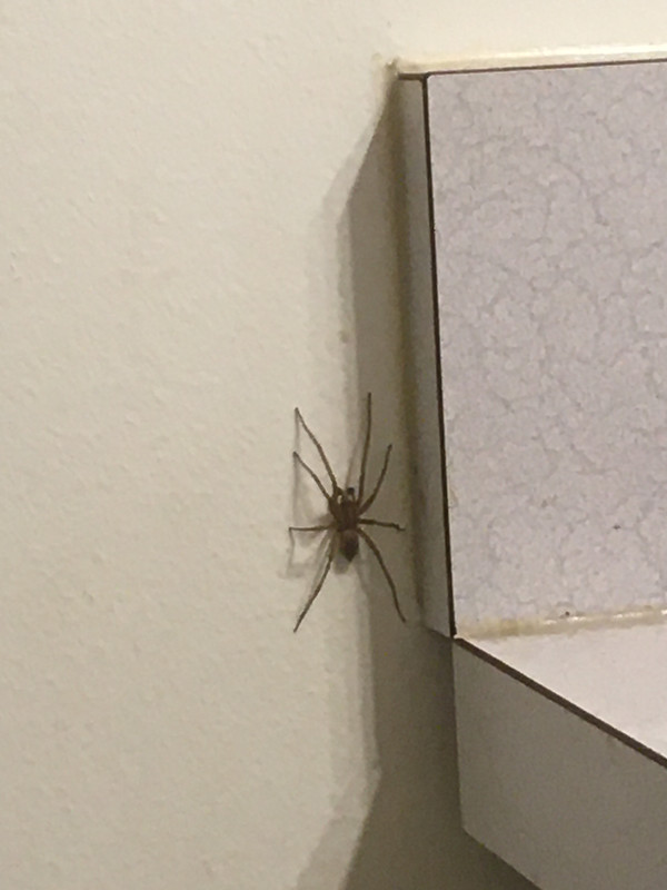 20230925 201949 IMG 1841 — Postimages