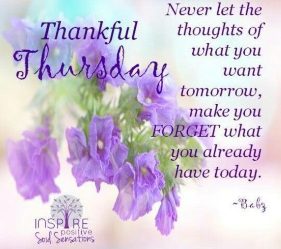 Have A Wonderful Thursday Images