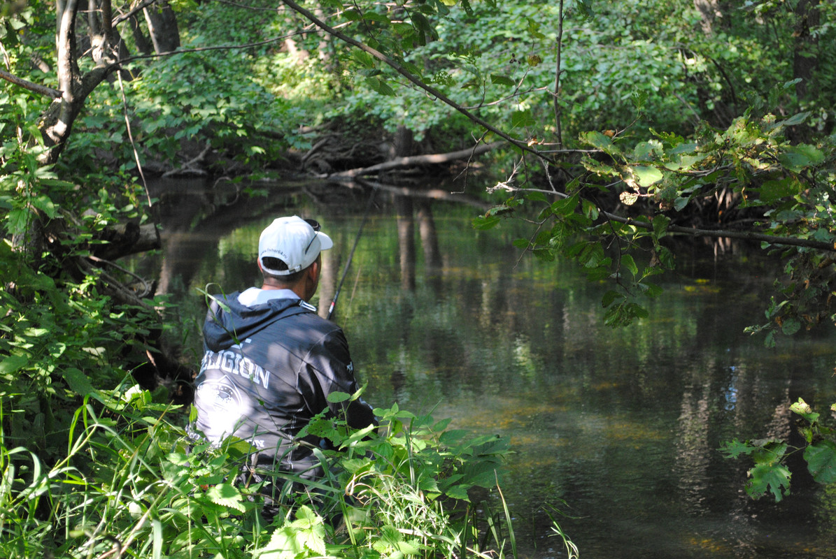 DSC 5818 — Postimages