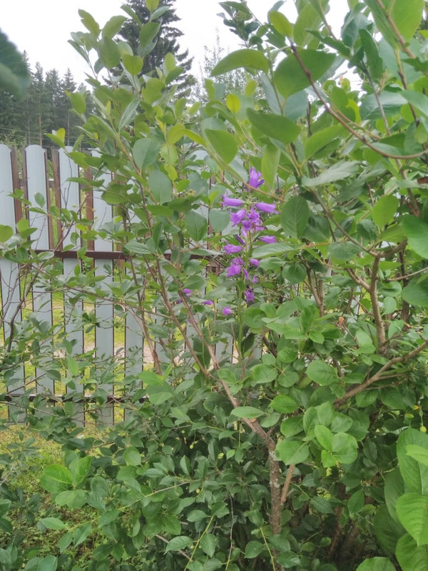 871 FE9 D3 2867 4 AD3 8371 4 AE09 A09433 D — Postimages