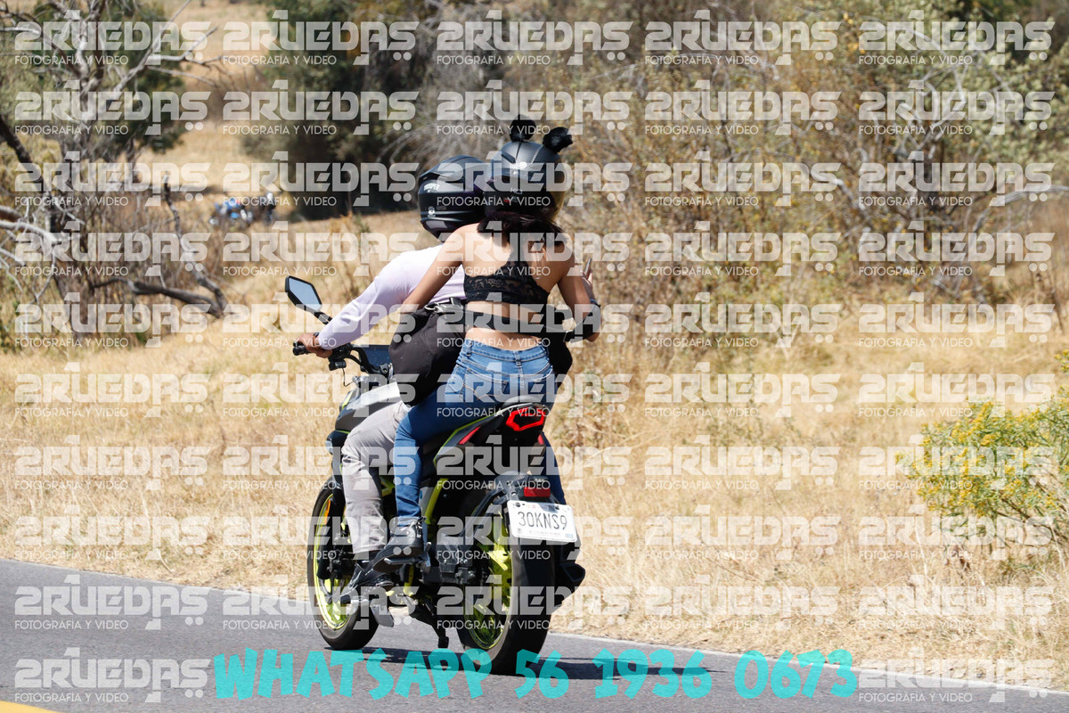 MG 1039 — Postimages